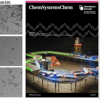 NSF BioPACIFIC MIP (DMR-1933487)