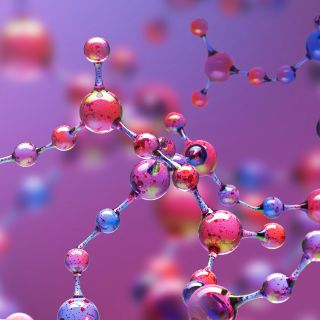 NSF BioPACIFIC MIP (DMR-1933487)